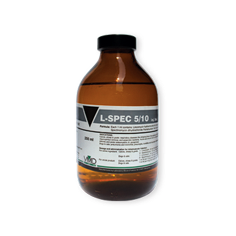 Intermedicavit :: Where you can trust!